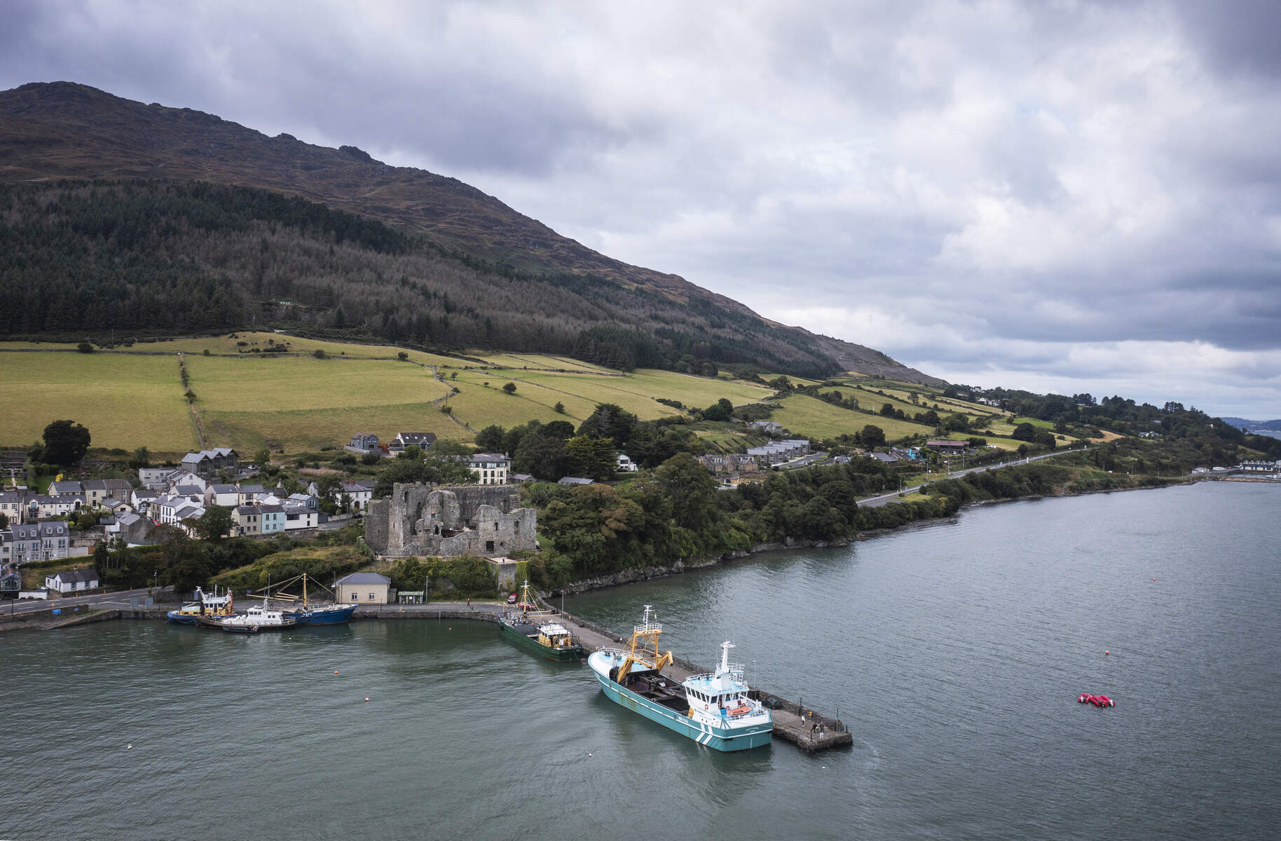 The Carlingford Oyster Festival • Go-to-Ireland.com