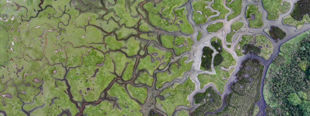 Mulranny Salt Marsh - Irish Marsh • Go-to-Ireland.com