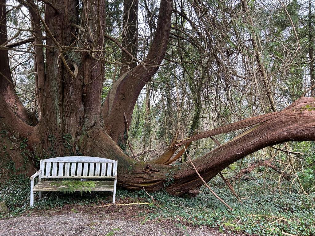 Sonas Mount Trenchard • Go-to-Ireland.com